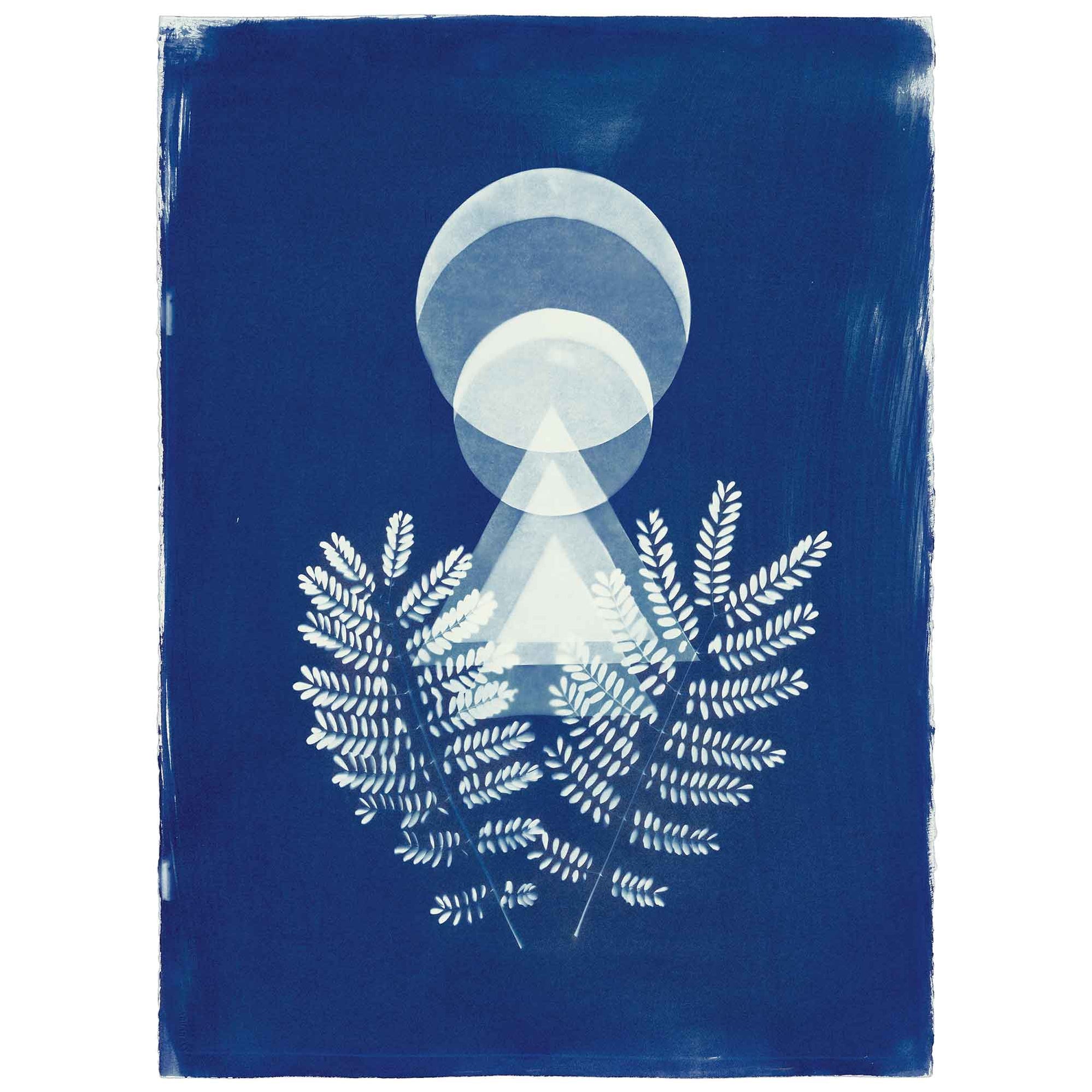 Cyanotypes | The Gold Current by Yasmin